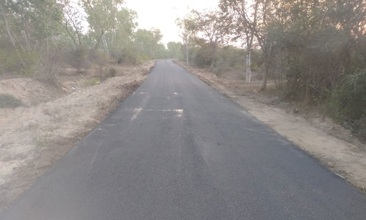 Tar road system in Bavakhat | காப்புக்காட்டில் தார் சாலை அமைப்பு