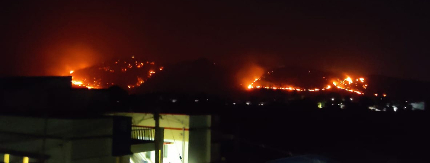 Terrible fire in Charu Hill | சருவ மலையில் பயங்கர தீ