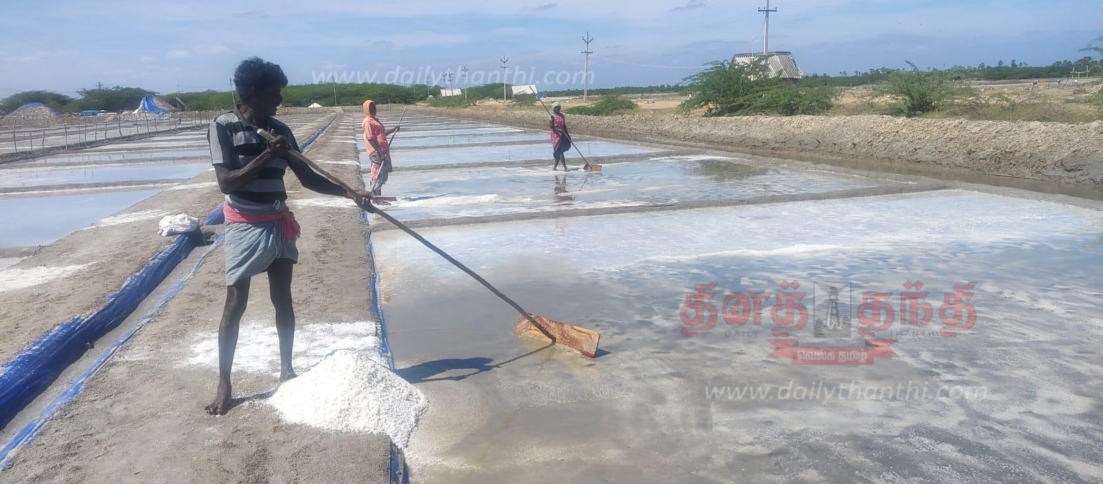 3rd time salt production starts in Vedaranyam | வேதாரண்யத்தில் 3-வது ...