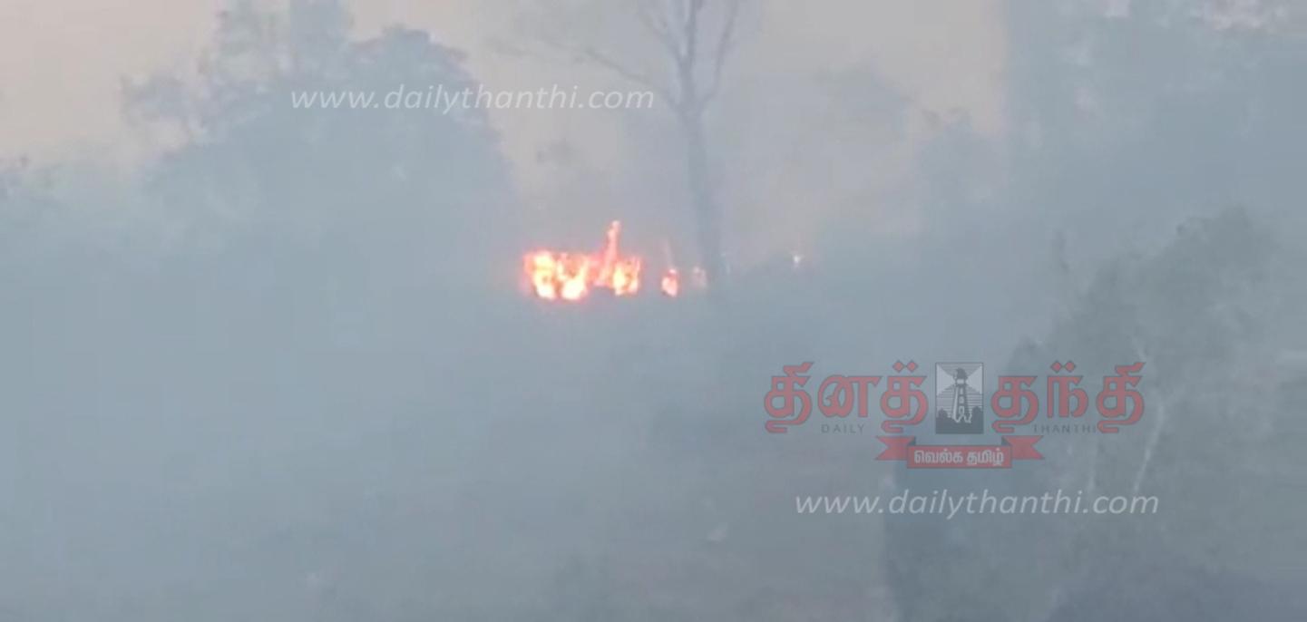 A fire has been burning in Kumari forests for 4 days | குமரி காடுகளில் ...
