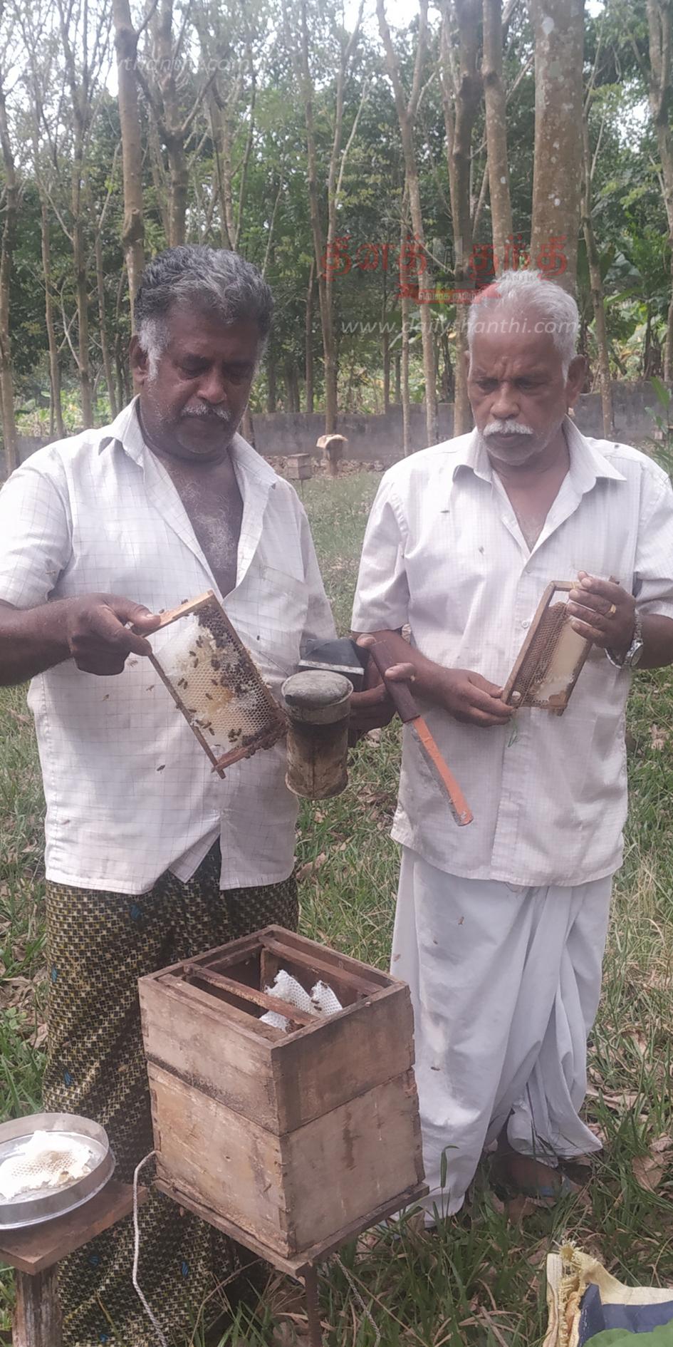 Honey production in Kumari is severely affected | குமரியில் தேன் ...