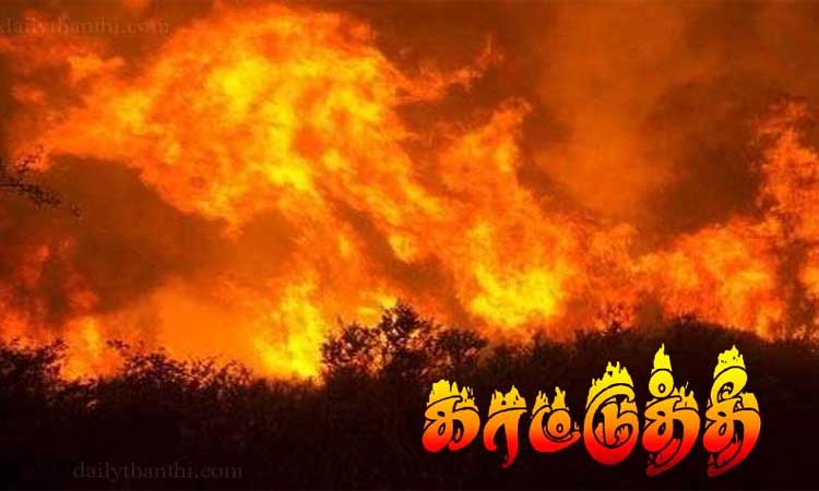 Forest fire in Tenkasi-Adavinainar dam area...Forest department fight ...