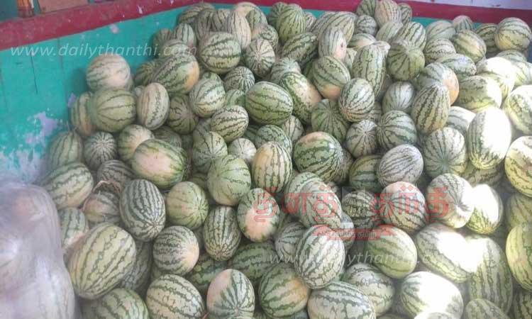 Watermelon sales are booming | தர்பூசணி விற்பனை அமோகம்