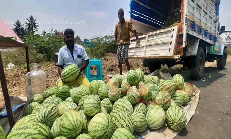 Watermelon | ஆர்.எஸ்.மங்கலம் பகுதியில் விற்பனைக்காக குவித்து ...