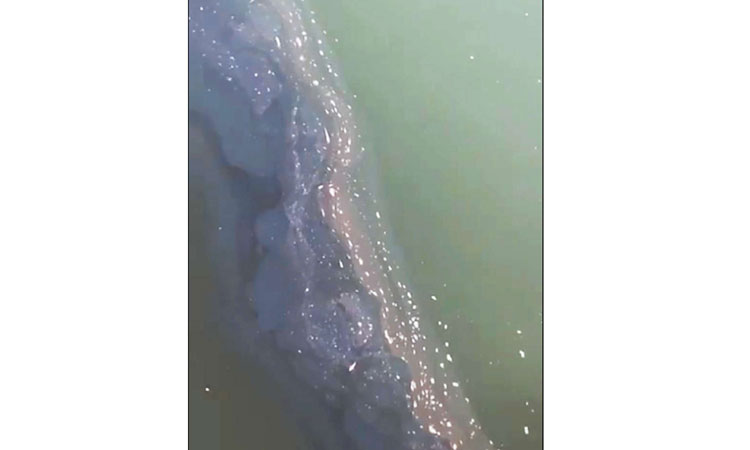 Dead fish floating in Kosasthalai river in Ennoor | எண்ணூரில் கொசஸ்தலை ...