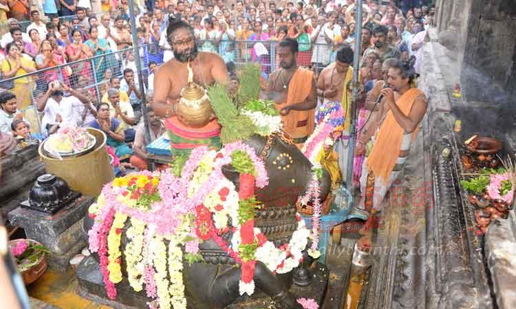 Special decoration for Nandi | நந்திக்கு சிறப்பு அலங்காரம்