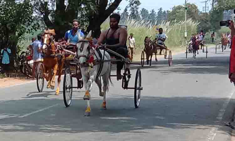 Rakla race near Kuluthalai | குளித்தலை அருகே ரேக்ளா பந்தயம்