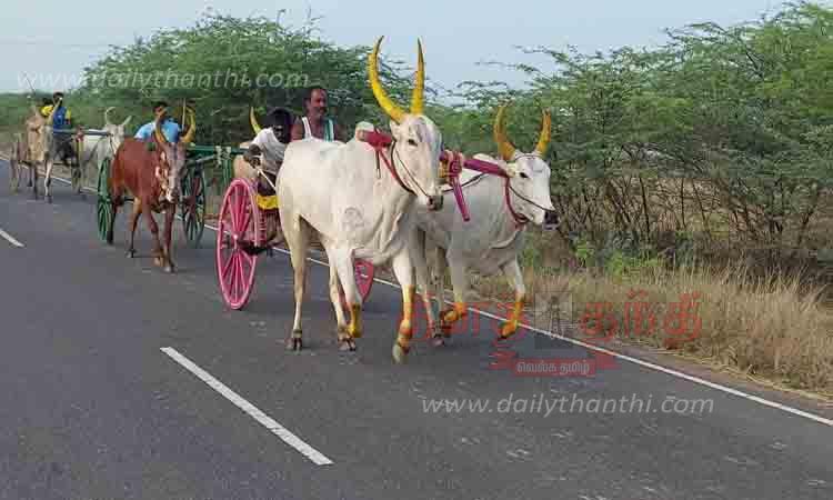 Bullock cart racing | இரட்டை மாட்டு வண்டி பந்தயம்