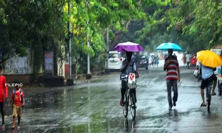 Light rain in Anna Road, Kamaraj Road, Egmore and inner areas of ...
