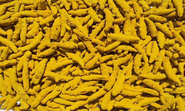Festival at Periya Mariamman Temple: 9 days off for yellow markets in ...
