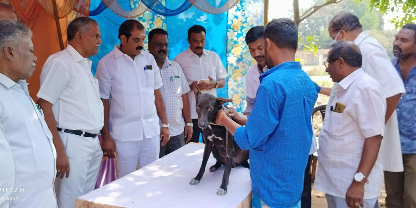 Rabies Vaccination Camp | வெறிநோய் தடுப்பூசி முகாம்