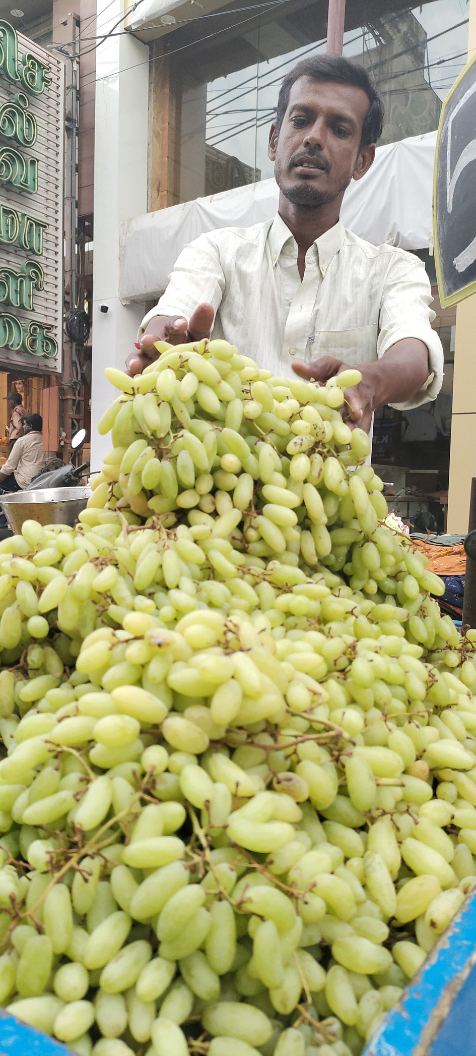 Increase in import of 'seedless' grapes from abroad to Salem ...
