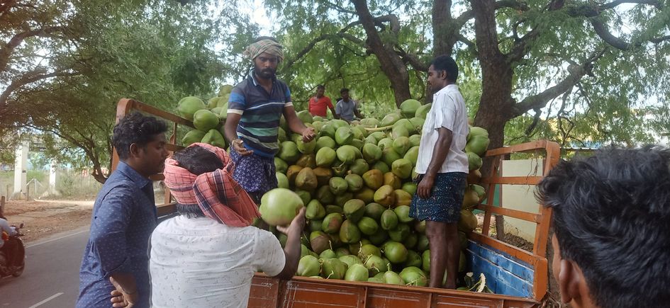 From Kampam Valley region Young water exported to foreign states ...