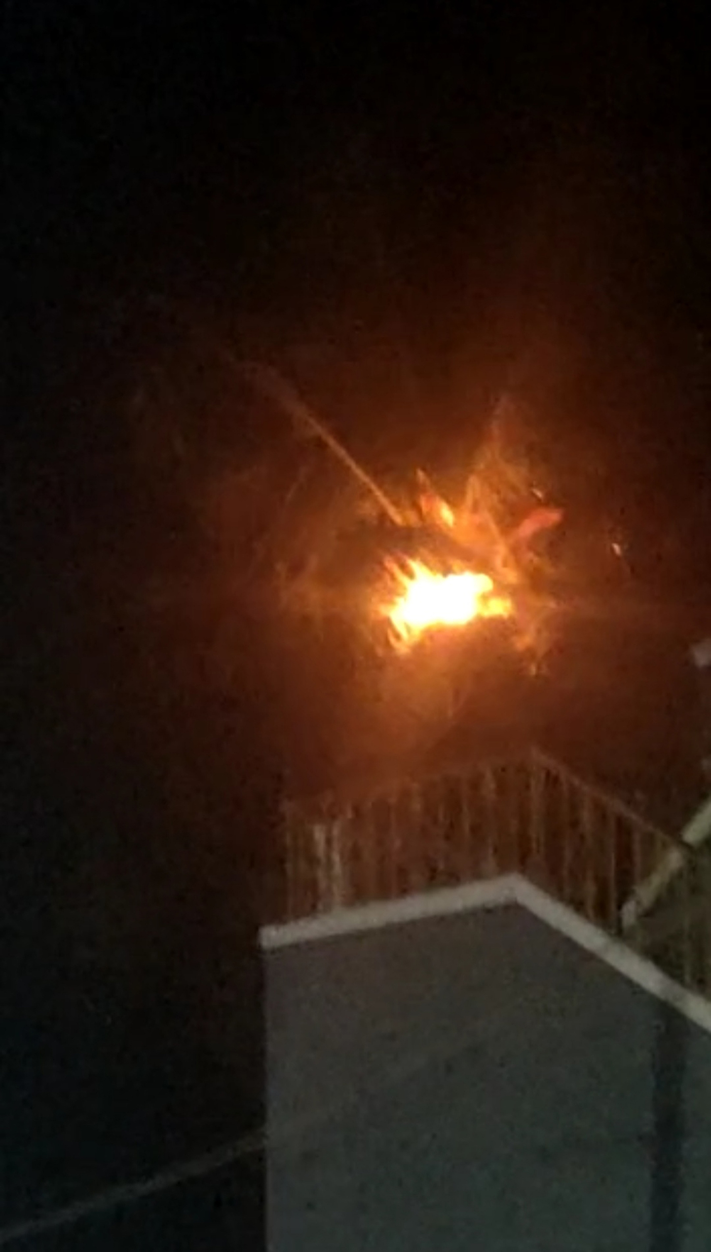 A coconut tree was struck by lightning and caught fire | தென்னை ...
