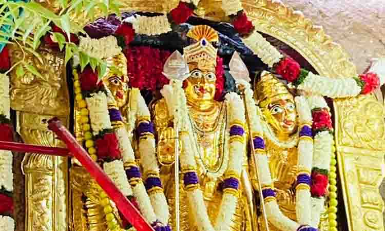 Panguni Uthra festival in Murugan temples | முருகன் கோவில்களில் பங்குனி ...