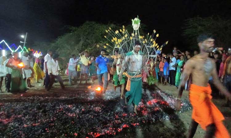 Panguni Uthra festival in Murugan temples | முருகன் கோவில்களில் பங்குனி ...