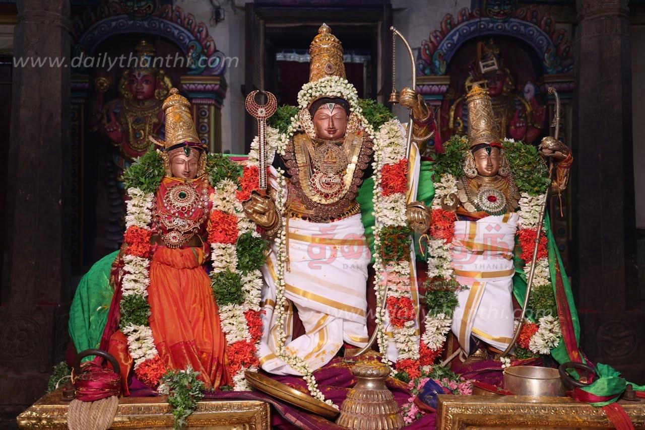 Vaduvur Kothandaram Temple Chariot | வடுவூர் கோதண்டராமர் கோவில் தேரோட்டம்