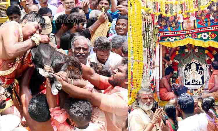 Kuttikudithal ceremony at Ukramakali Amman temple in Tennur | தென்னூர் ...
