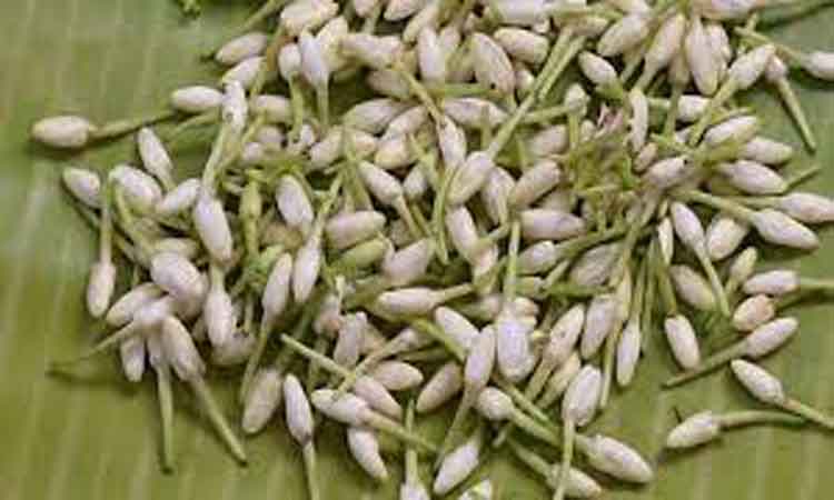 At Sathy Market Mullai flower was auctioned at Rs.640 per kg | சத்தி ...