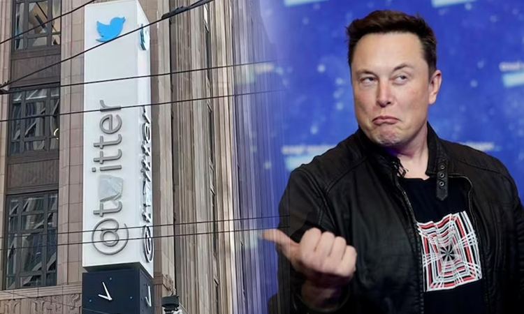 Elon Musk Says Owning Twitter "Quite Painful", Will Sell It If ...