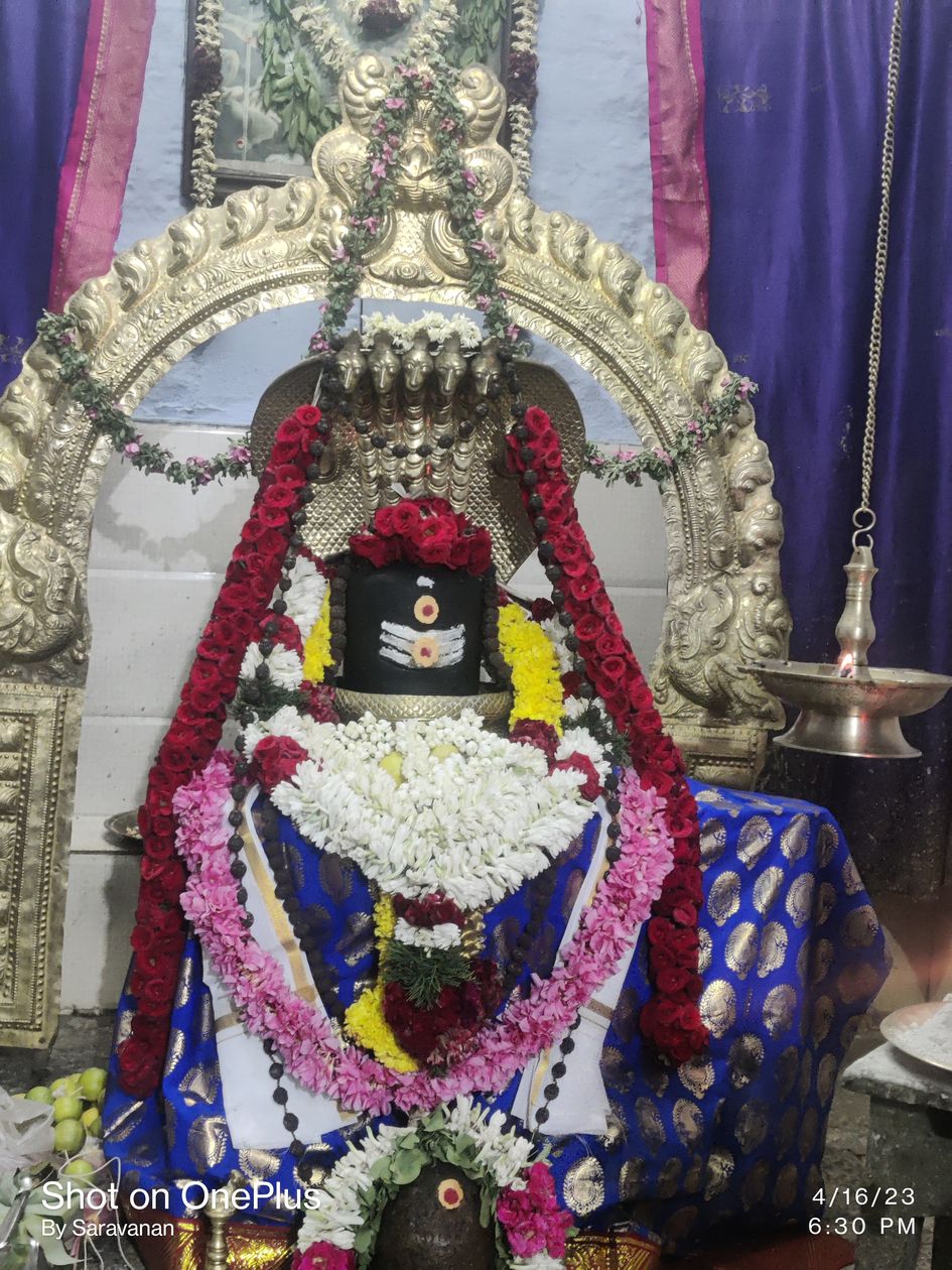 in the tournament Paramasivan Hill Temple painting festival ...