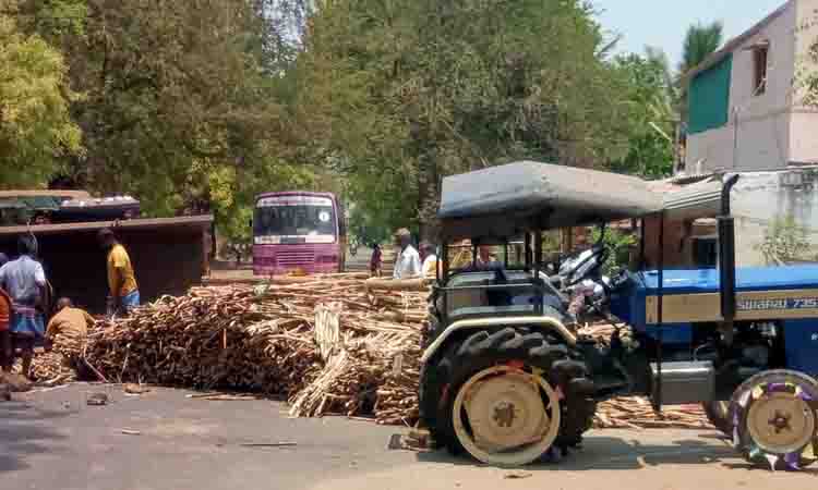 A tractor carrying sugarcane overturned | கரும்புகள் ஏற்றி வந்த ...