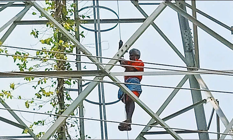 Farmers protest by climbing cell phone towers to remove encroachments ...