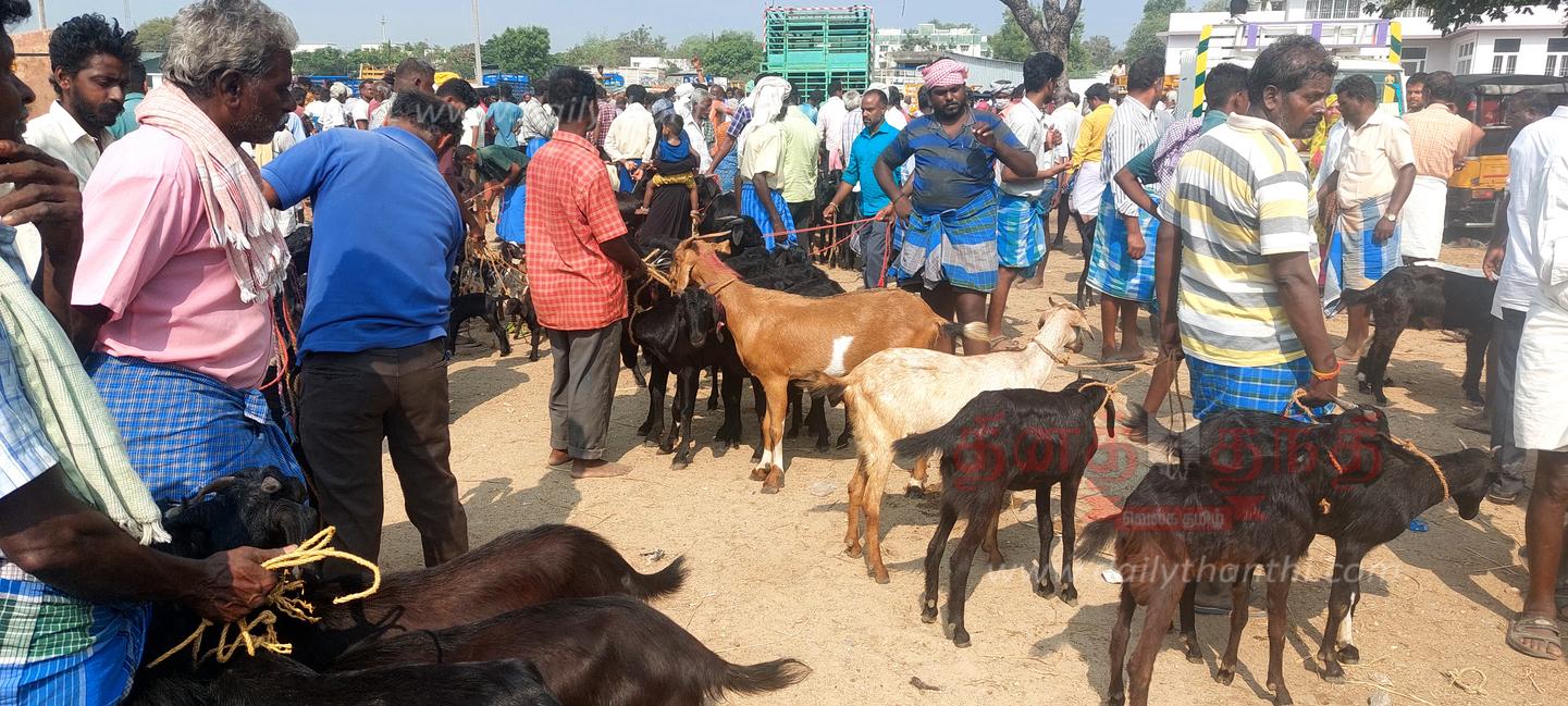 Goats sold for Rs 1 crore on the occasion of Ramzan | ரம்ஜான் பண்டிகையை ...