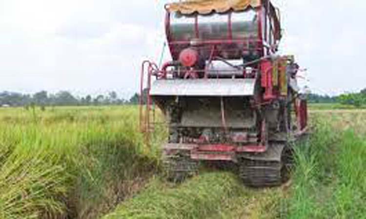 Regulation of paddy harvesting vehicles | நெல் அறுவடை வாகனங்களுக்கு ...