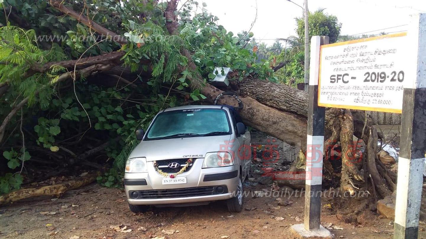 Heavy rain with squall near Chennimalai: Car damaged by falling tree ...