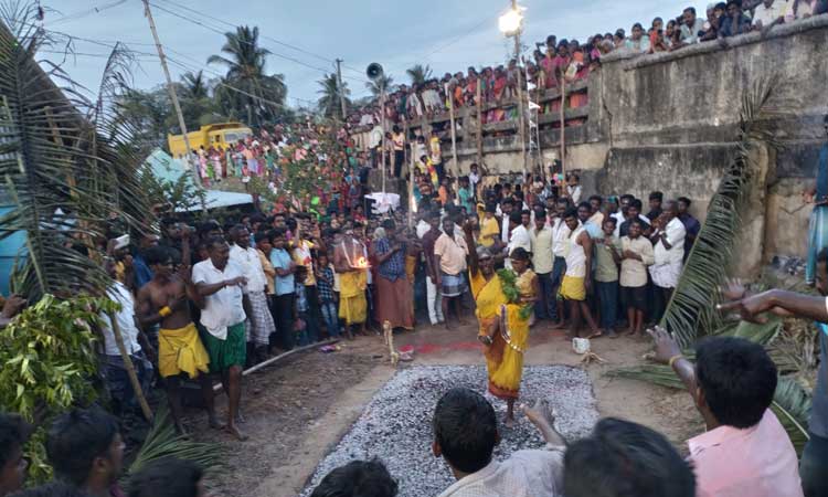 Dimithi Festival at Shakti Mariamman Temple | சக்தி மாரியம்மன் கோவிலில் ...
