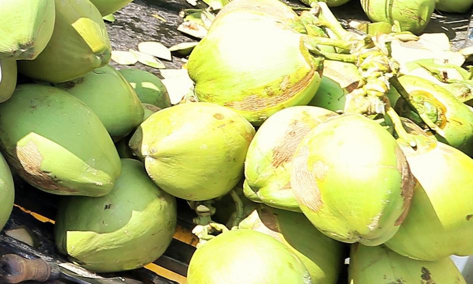 ilaneer | சூடுபிடிக்கும் இளநீர் விற்பனை