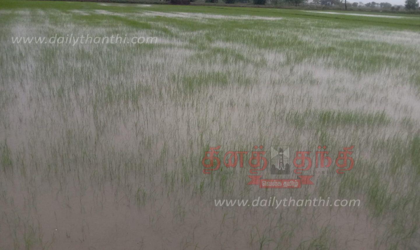 Hundreds of acres of paddy fields were submerged | நூற்றுக்கணக்கான ...