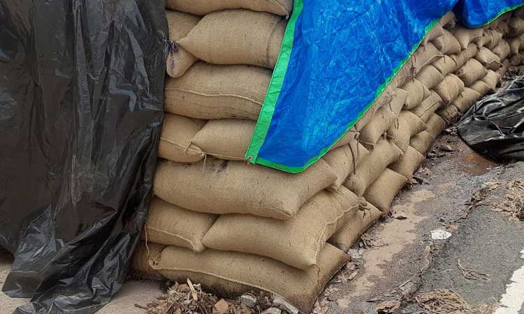 Damage to 1½ tonne bags of paddy kept at the direct paddy procurement ...