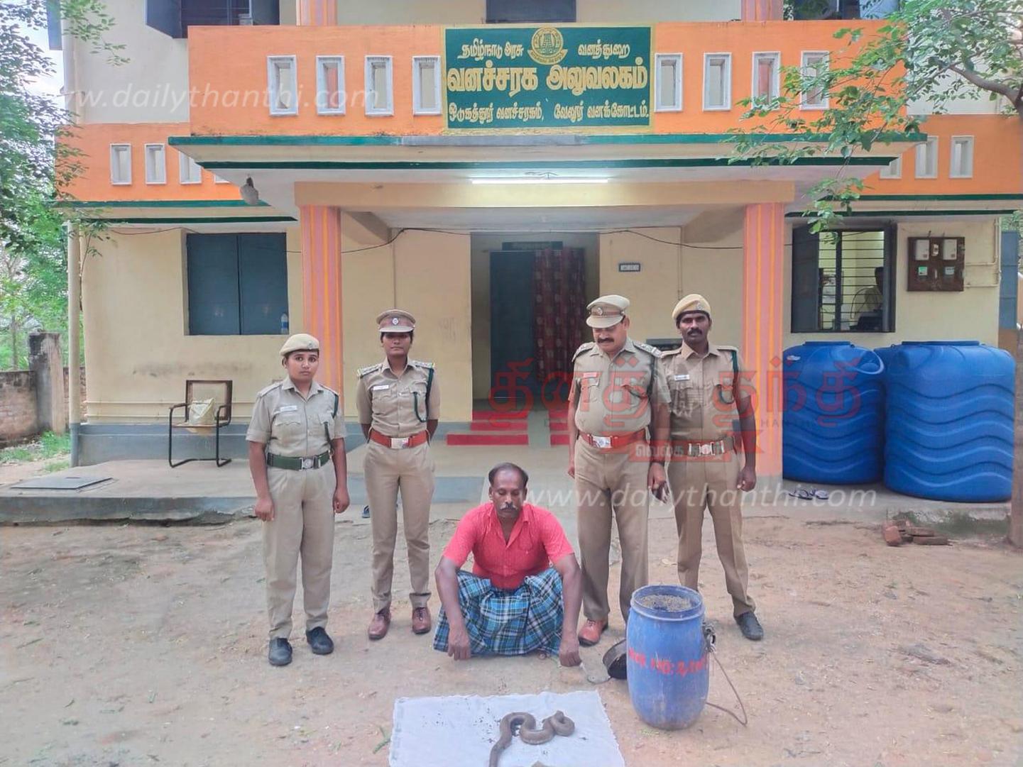 The man who possessed the snake was arrested | மண்ணுளி பாம்பை ...