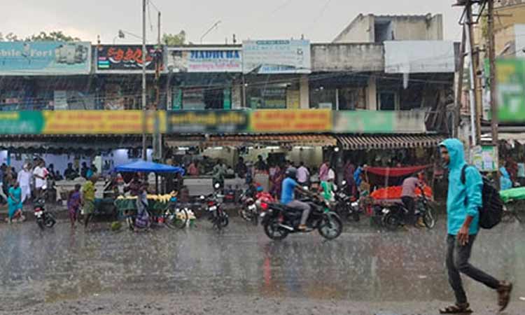 In Trichy district, the maximum rainfall was 22 mm in Tha Pettai ...