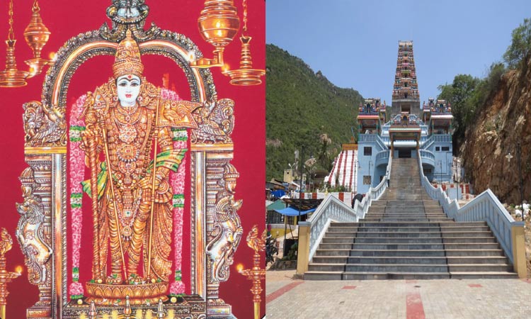 Marudhamalai Arulmigu Subramanya Swami Temple | மங்கலம் தரும் மருதமலை