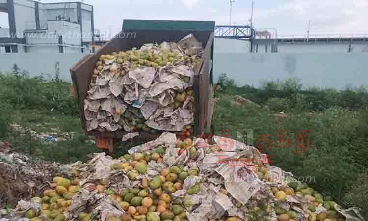 3 tons of mangoes dumped in garbage | குப்பையில் கொட்டப்பட்ட 3 டன் ...