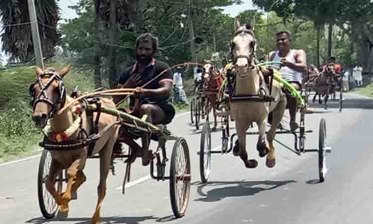Rakla Race held at Khuthalai | குளித்தலையில் நடந்த ரேக்ளா பந்தயம்