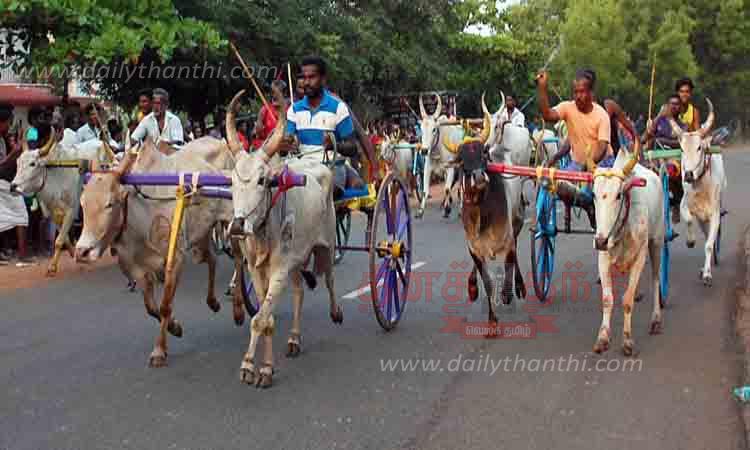 Bullock cart racing | கல்லல் அருகே சீறி பாய்ந்த மாட்டு வண்டிகள்