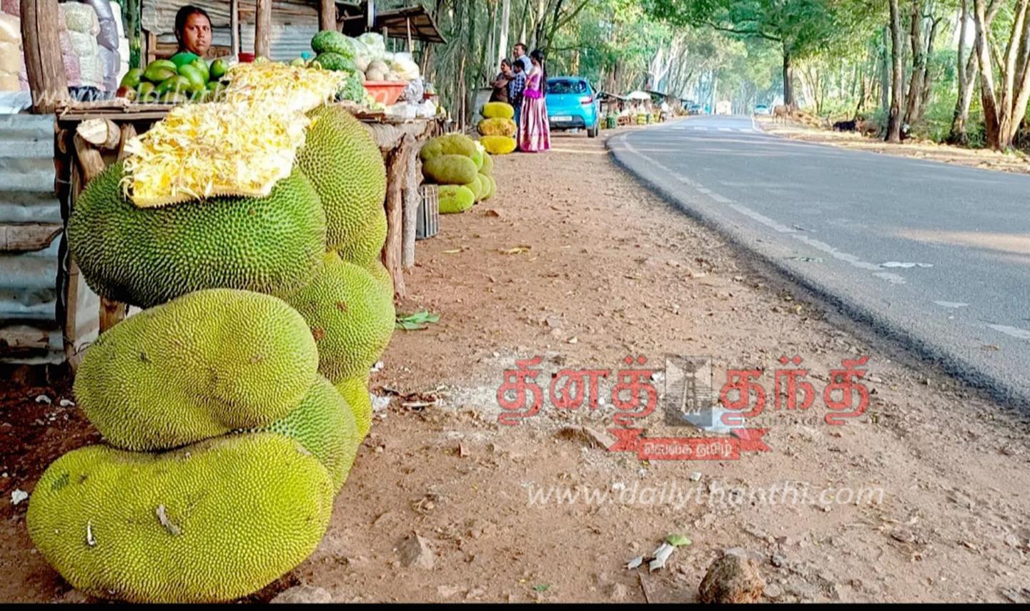 fruit | தமிழக- கர்நாடக மாநில எல்லையில் சாலையோர கடைகளில் பலா பழங்கள் ...