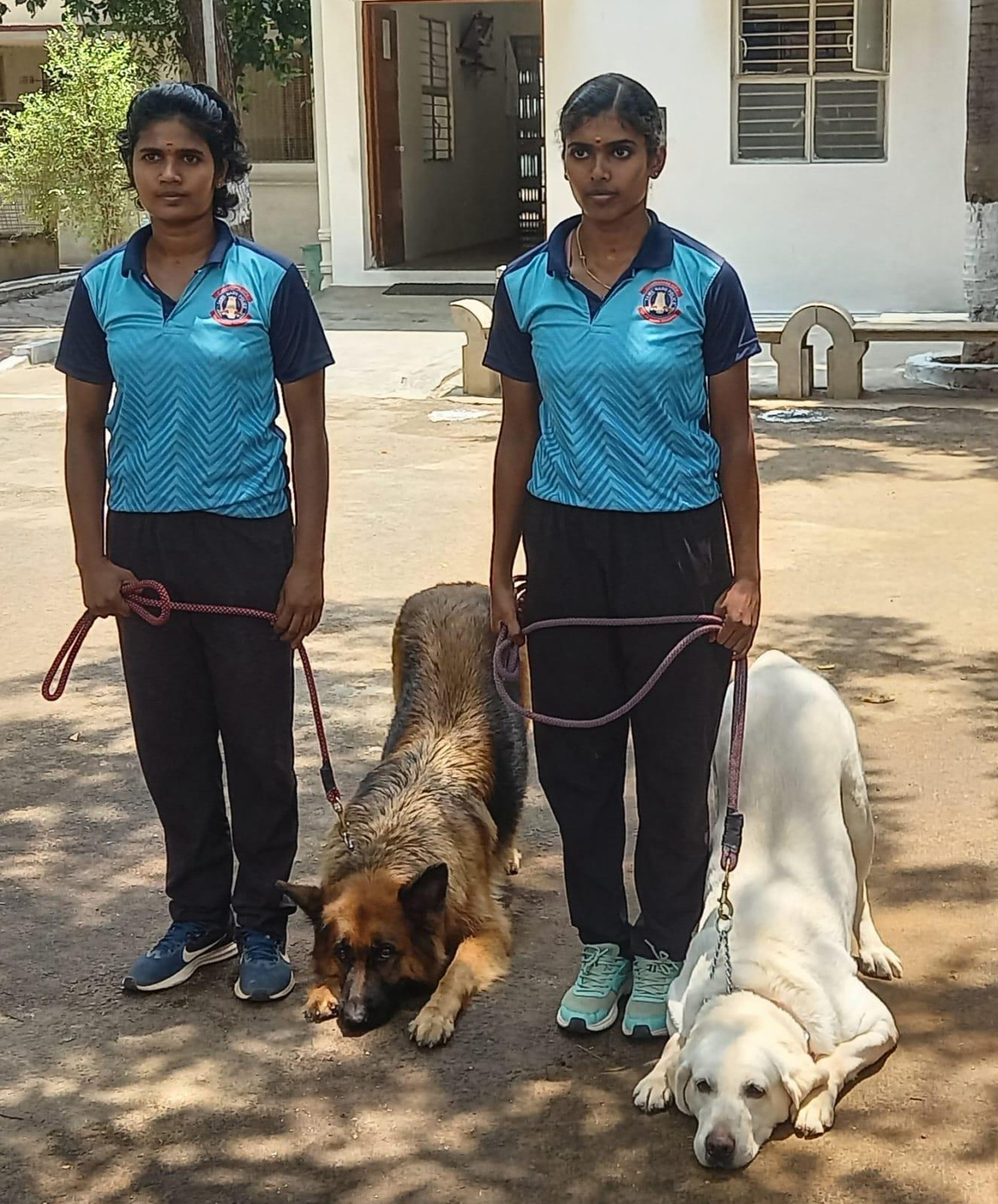 Policewomen appointed to train sniffer dogs in Coimbatore | கோவையில் ...