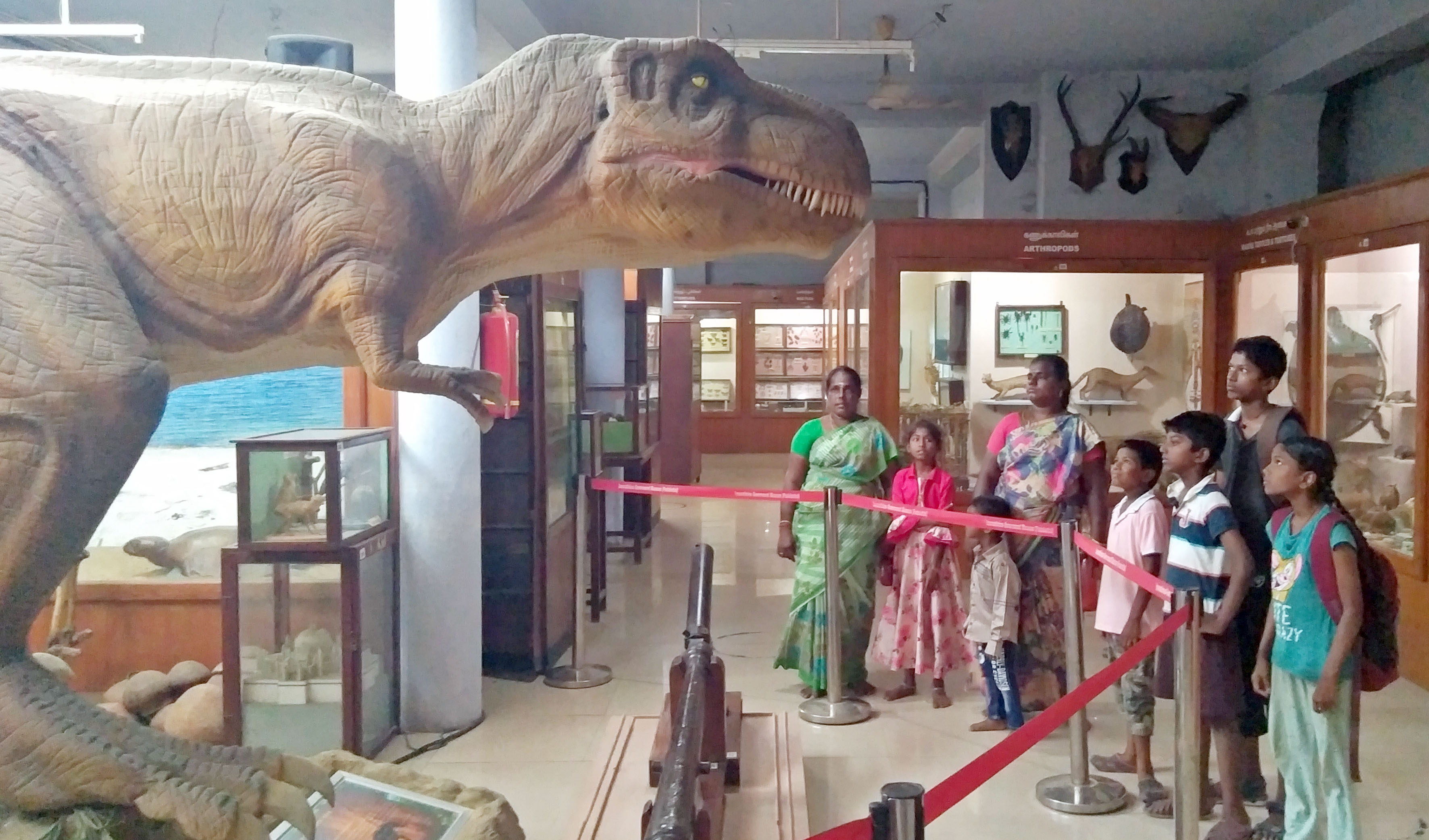 More than 3 thousand people visited Pudukottai Government Museum ...