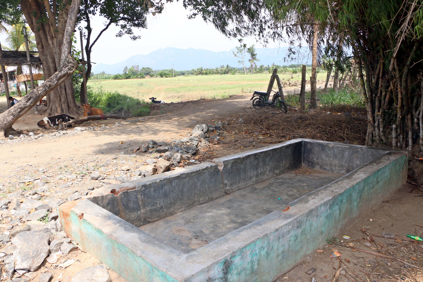 Cattle trickling water tank... | கால்நடைகளை ஏமாற்றும் தண்ணீர் தொட்டி...