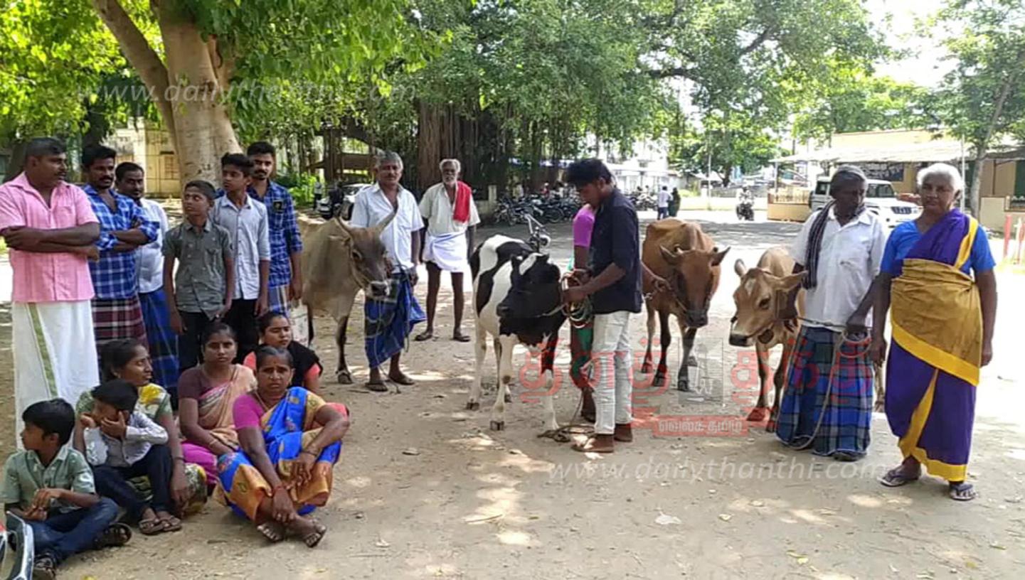 People came to the Omalur taluk office with goats and cows claiming ...
