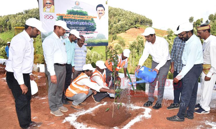 Collector Amrit inaugurated 1,000 tree saplings in Ooty on behalf of ...