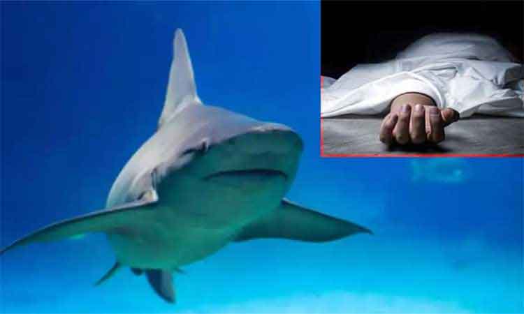 Russian tourist killed by shark while bathing in sea in Egypt ...