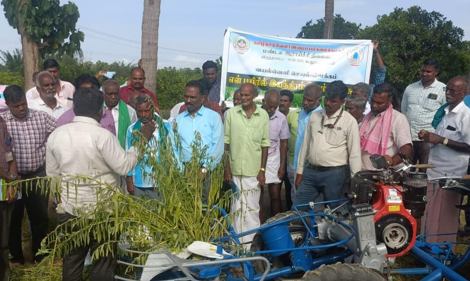 Sesame harvesting practice by machine | எந்திரம் மூலம் எள் அறுவடை பயிற்சி