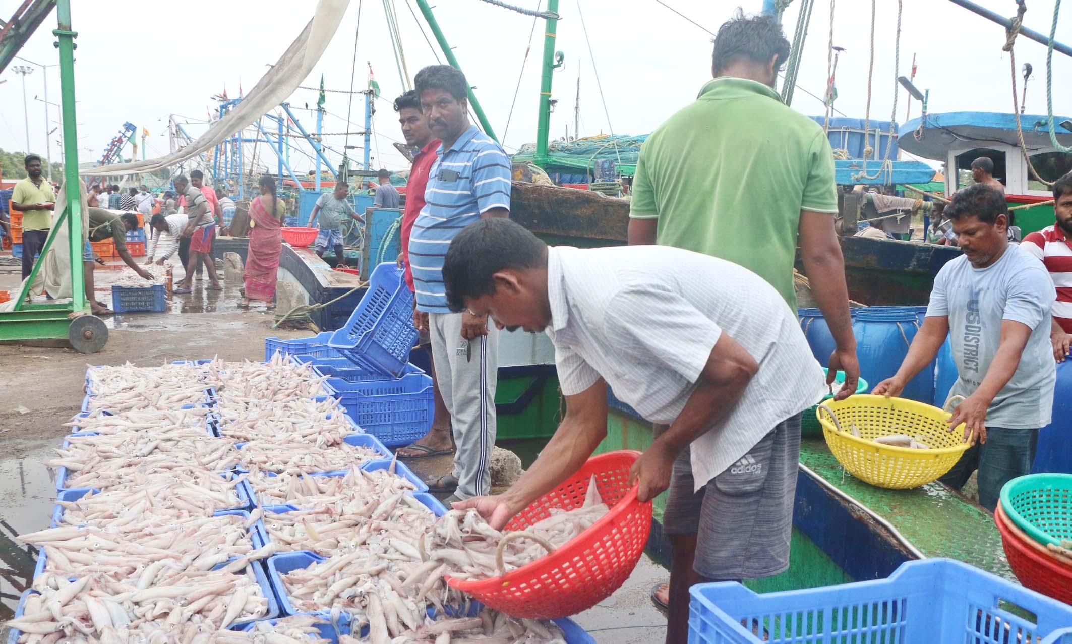 Fishermen were disappointed as only Kanawa and Klichal fishes were ...