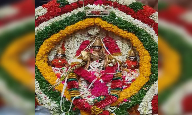 Singampunari Sevakaperumal Temple Thirukalyanam Devotees thronged Sami ...